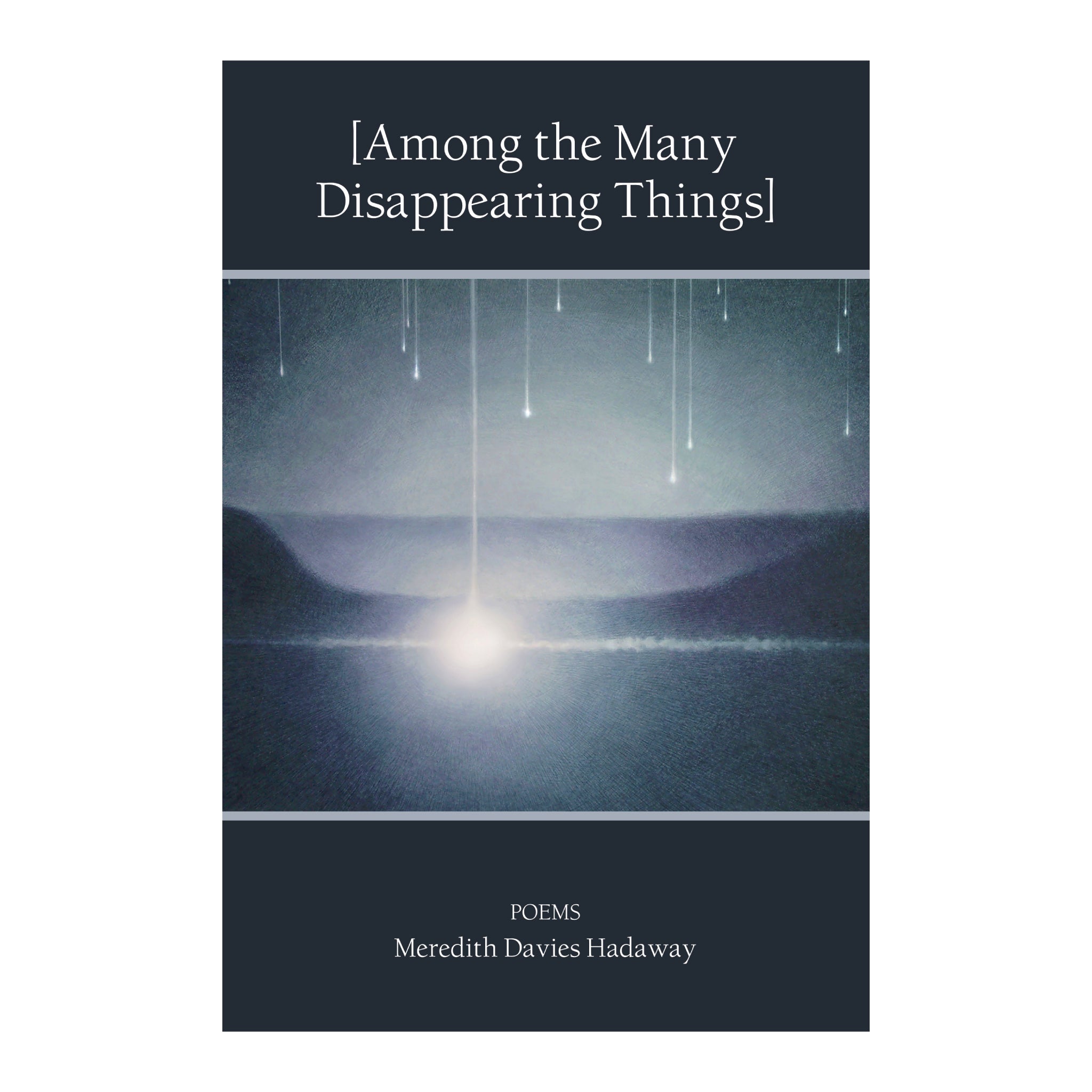 [Among the Many Disappearing Things] by Meredith Davies Hadaway ...
